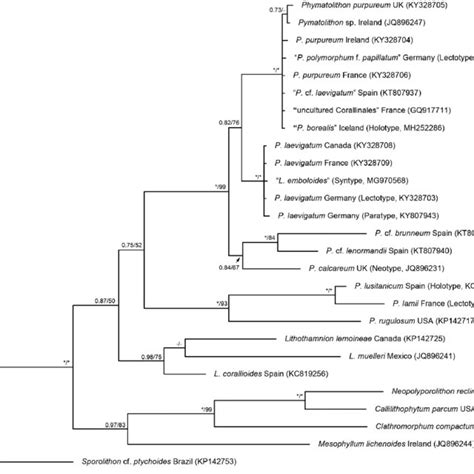 Phylogenetic Tree Based On Bayesian Analysis Of Psba Sequences Values Download Scientific