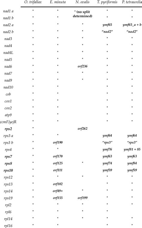 Ciliate Mitochondrially Encoded Genes Download Table