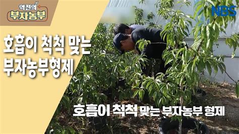 묘목 농장 운영으로 연 매출 4억 원 호흡이 척척 맞는 부자농부형제 Youtube