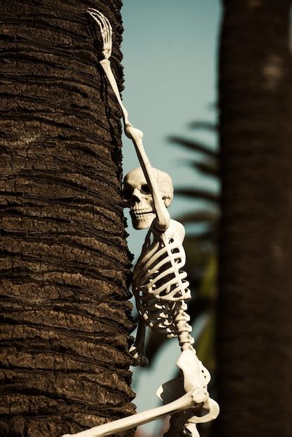 Premium Photo Halloween Skeleton Helloween For House Decor