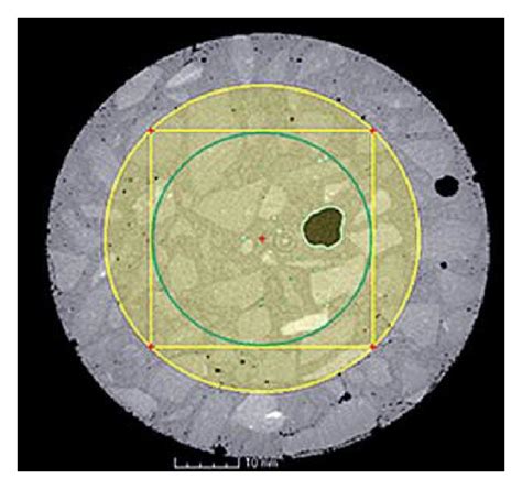 Sketch Map Of The Partition Of Each Specimen Download Scientific Diagram