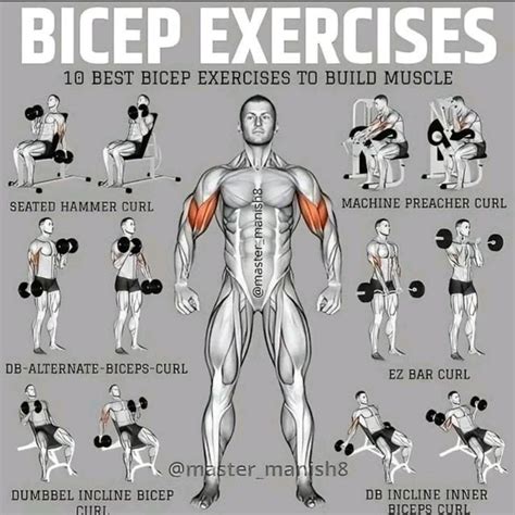Effective Biceps Exercises Biceps Workout Triceps Workout Bicep