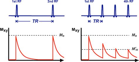 Multiple Rf Pulses Questions And Answers In Mri