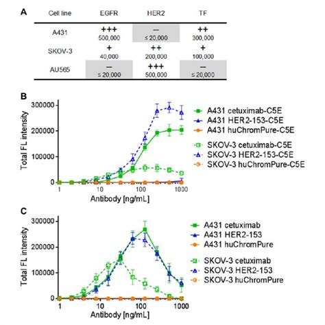 Antibody Internalization By Recombinant Surface Receptors A431 Cells