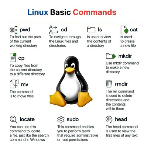 Rahul Raj V K On Linkedin 📌 Linux Basic Commands