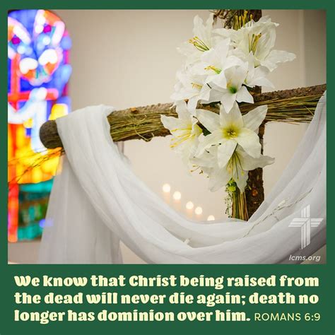 Tom Giannopoulos Posted On Linkedin