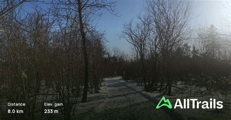 Saunders Brook Trail New Brunswick Canada 160 Reviews Map Alltrails