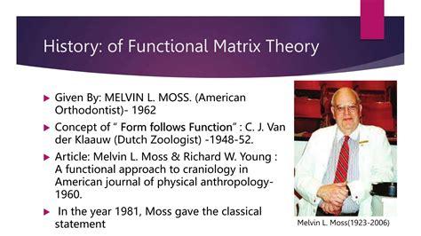 Functional Matrix Theory Revisited Pptx Functional Matrix Theory Revisited Pptx