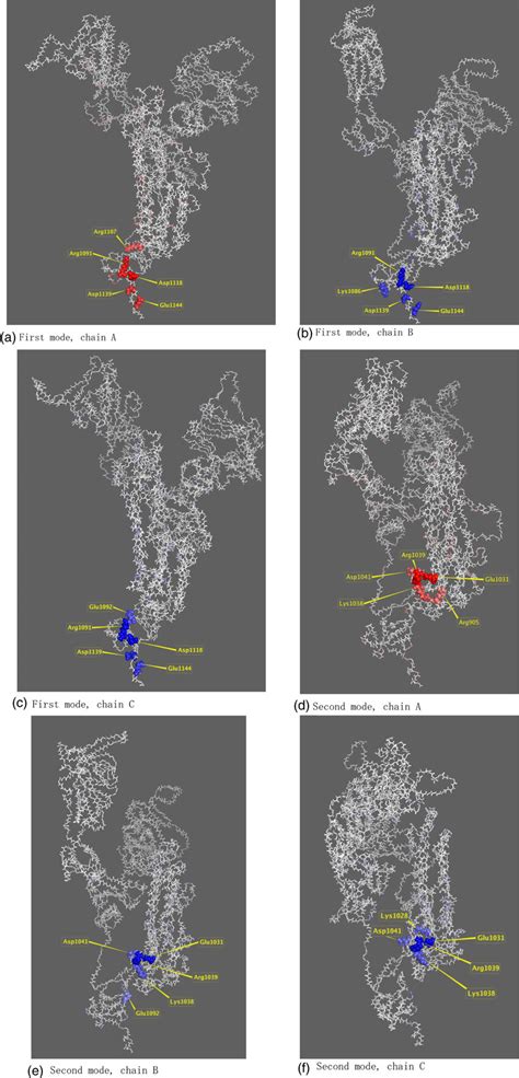 Key Residues With Higher Amplitudes In Each Eigenvector Of Svd Analysis Download Scientific