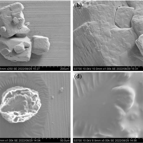 The Scanning Electron Microscopy Of A B Chitosan Cs And C D Download Scientific Diagram