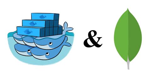 Building Microservices With Dropwizard Mongodb And Docker