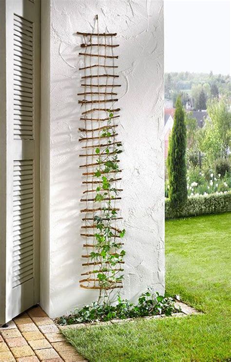 Beautiful DIY Trellis For Small Garden HomeMydesign