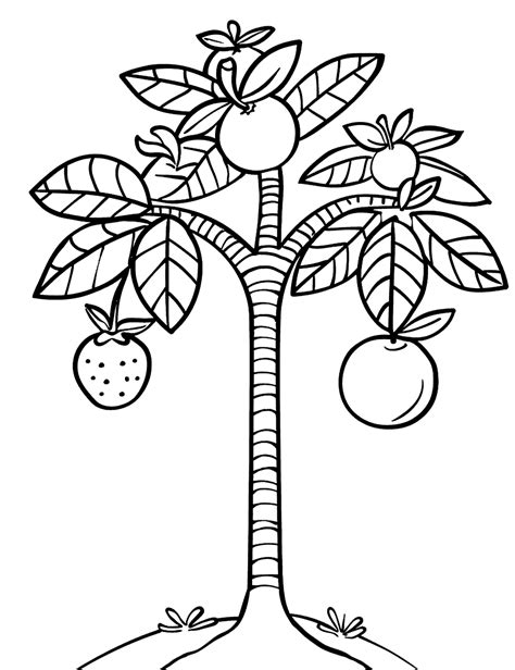 Tree Coloring Pages Free Printable Sheets