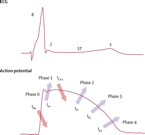 The Qt Syndromes Long And Short The Lancet