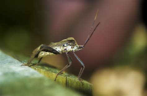 Top Design Magazine Web Design And Digital Content When Ugly Becomes