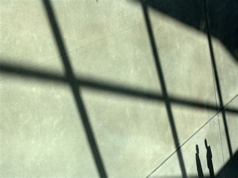 무료 이미지 손 빛 목재 화이트 사진술 조직 잎 유리 시각 번호 모임 선 녹색 색깔 그림자 사업 검은 단색화 함께 원 닫다 디자인