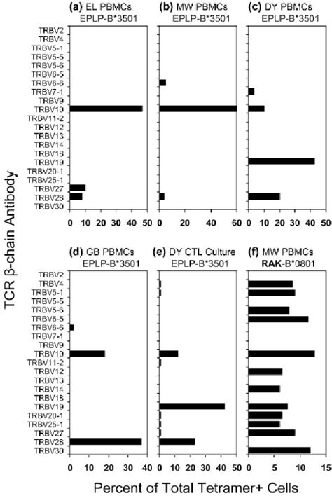 Figure 1 From Ctl Recognition Of A Bulged Viral Peptide Involves Biased Tcr Selection1