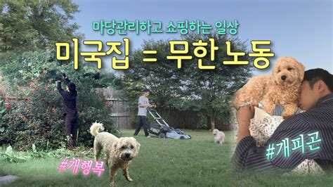 미국 일상 🇺🇸 37 미국집 현실 출근 전후 끊임없는 노동 새 집 마당관리 미국 브이로그 골든두들 Youtube