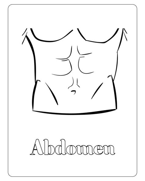Human Body Coloring Pages Human Body Part Vector 27191700 Vector Art At Vecteezy
