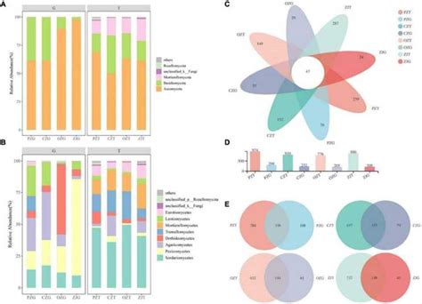 Fungal Community Structure Analysis Lifeasible