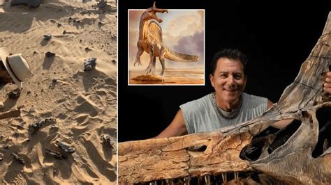 Dinosaur From Hell” Spinosaurus Mirabilis Discovered In Sahara Azat Tv