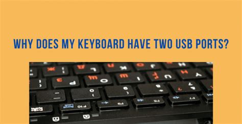 Why Does My Keyboard Have Two USB Ports Main Benefits Revealed Keyboard Cutter