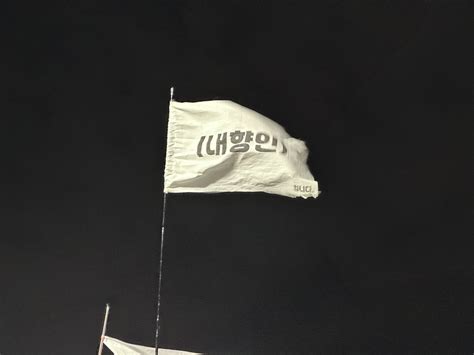 더쿠 2024 윤석열 탄핵 시위 연합모임 깃발 ️ ️ ️ ️