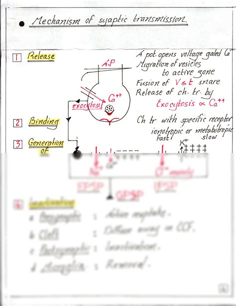 SOLUTION Cns Physiology Diagrams Dr Nagi Studypool
