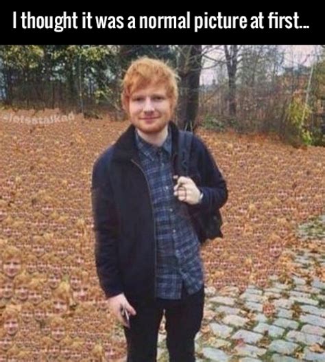 Ed Sheeran Fall Foliage Funny Ed Sheeran Leaves Photo Funny Pictures