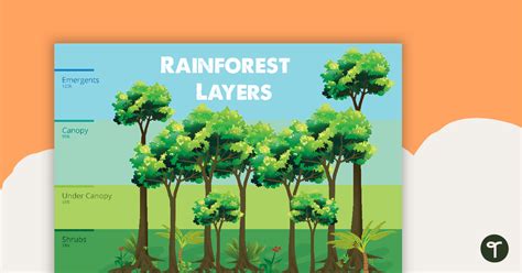 Rainforest Layers Worksheet Layers Of The Rainforest Unplugged Coding