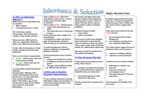 Gcse Biology Inheritance Revision Higher Teaching Resources