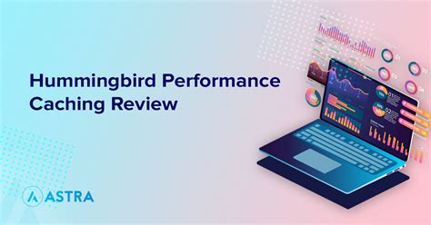 Hummingbird Review 2025 Is This Caching Plugin Any Good