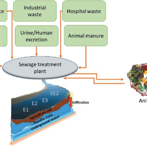 A Three Dimensional Structure 3d Of Aptamer And B Prediction
