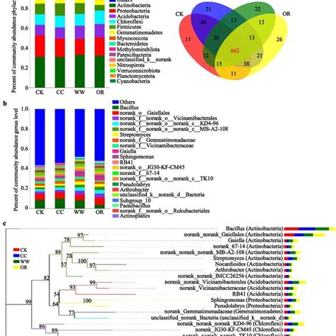 Bacterial Community Structure In The Rhizosphere And Bulk Soils A