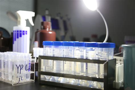 Trizol Rna Extraction Kit At Amy Ammerman Blog