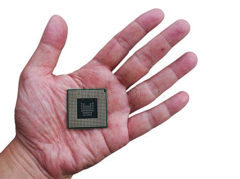 Central Processing Unit Cpu In Hand Isolated On White Stock Image Image Of Computer