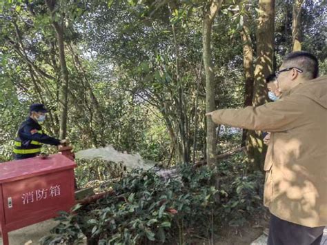 南山区林长办开展春节前森林防火督导检查工作 国土资源