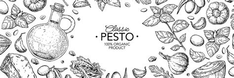 Pesto Sauce Ingredients Vector Drawing Traditional Italian Food Sketch