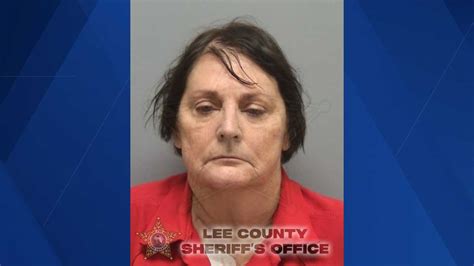 South Fort Myers Woman Accused Of Dui After Hitting Deputys Car
