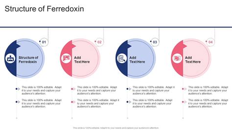 Structure Of Ferredoxin In Ppt Powerpoint Presentation Slide Templates Cpp PPT Slide