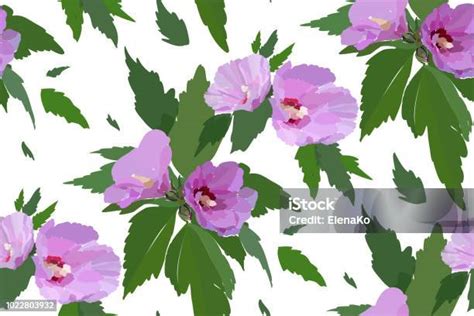 히 비 스커 스 꽃과 잎과 꽃 완벽 한 패턴입니다 식물 그림 손으로 그린 섬유 인쇄 직물 견본 포장지입니다 귀여운에 대한 스톡 벡터 아트 및 기타 이미지 Istock