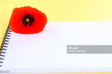 붉은 양 귀 비 꽃과 흰색 빈 노트에 노란색 파스텔 배경 텍스트에 대 한 공간을 복사 합니다 감사합니다에 대한 스톡 사진 및 기타 이미지 Istock