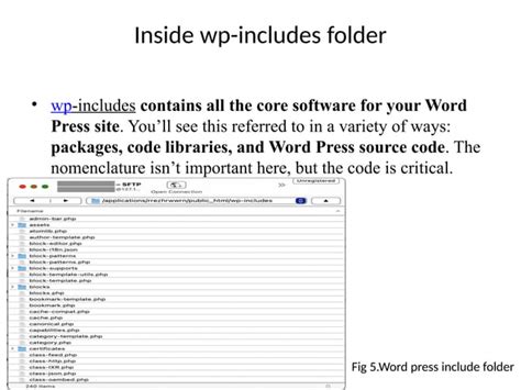 Level 3 Accessing File And Directorypptx