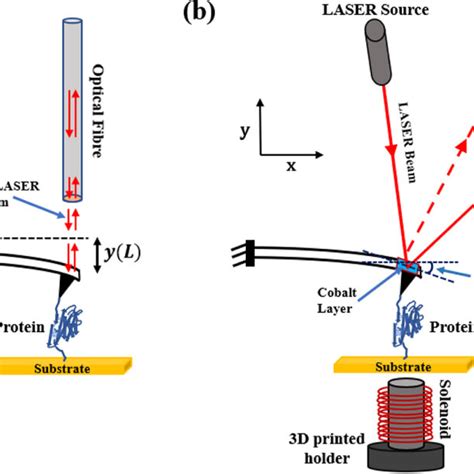 A Schematic Of Interferometer Based Afm Equipped With Base Excitation