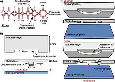 Top Side And 3 D Views Of The Bubble Traps A Top View Of The Test