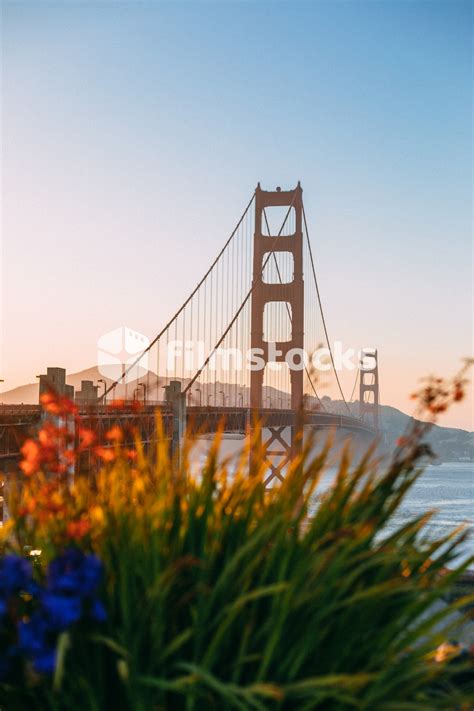 골든 게이트 브리지