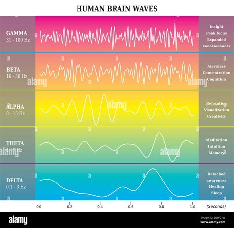 Types Of Monitor Frequency At Sophia Goldman Blog