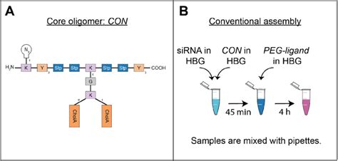 Sequence Defined Oligomers And Their Corresponding Nanoparticle Download Scientific Diagram