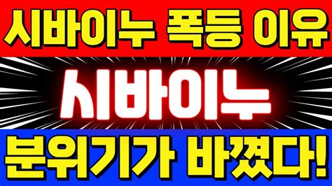 시바이누코인 전망 시바이누 폭등 이유~ 분위기가 바뀐게 느껴 지시나요 Youtube