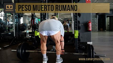 Peso Muerto Rumano Ejercicio De Musculación Romanian Deadlift Rdl
